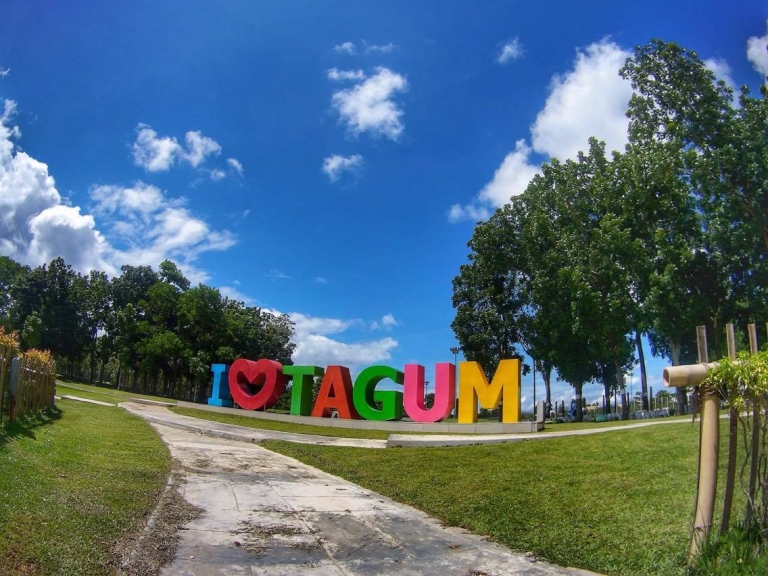 The History Behind Tagum becoming the Palm City of the Philippines ...