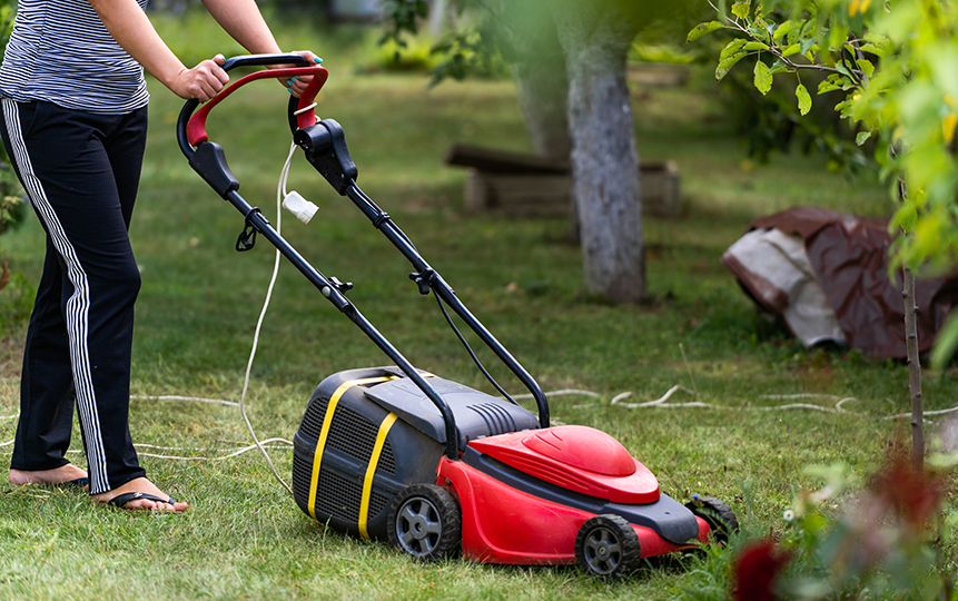 Cause And Cost Of Landscaping For Your House And Lot Bria Homes