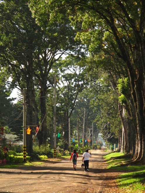 See the best views in Bukidnon in these tourist spots | Bria Homes