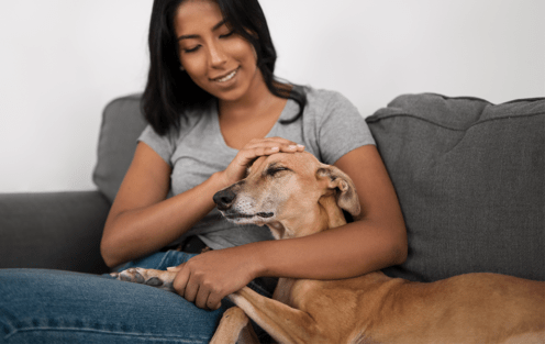 7 Tips to be a Responsible Pet Owner in your Community | Bria Homes