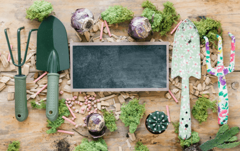 Philippine Native Plants: Embracing Native Flora in Home Gardens | Bria ...